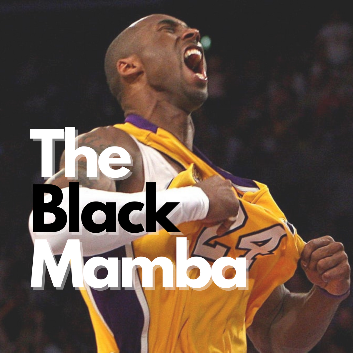 The Black Mamba | SOUL+LAND
